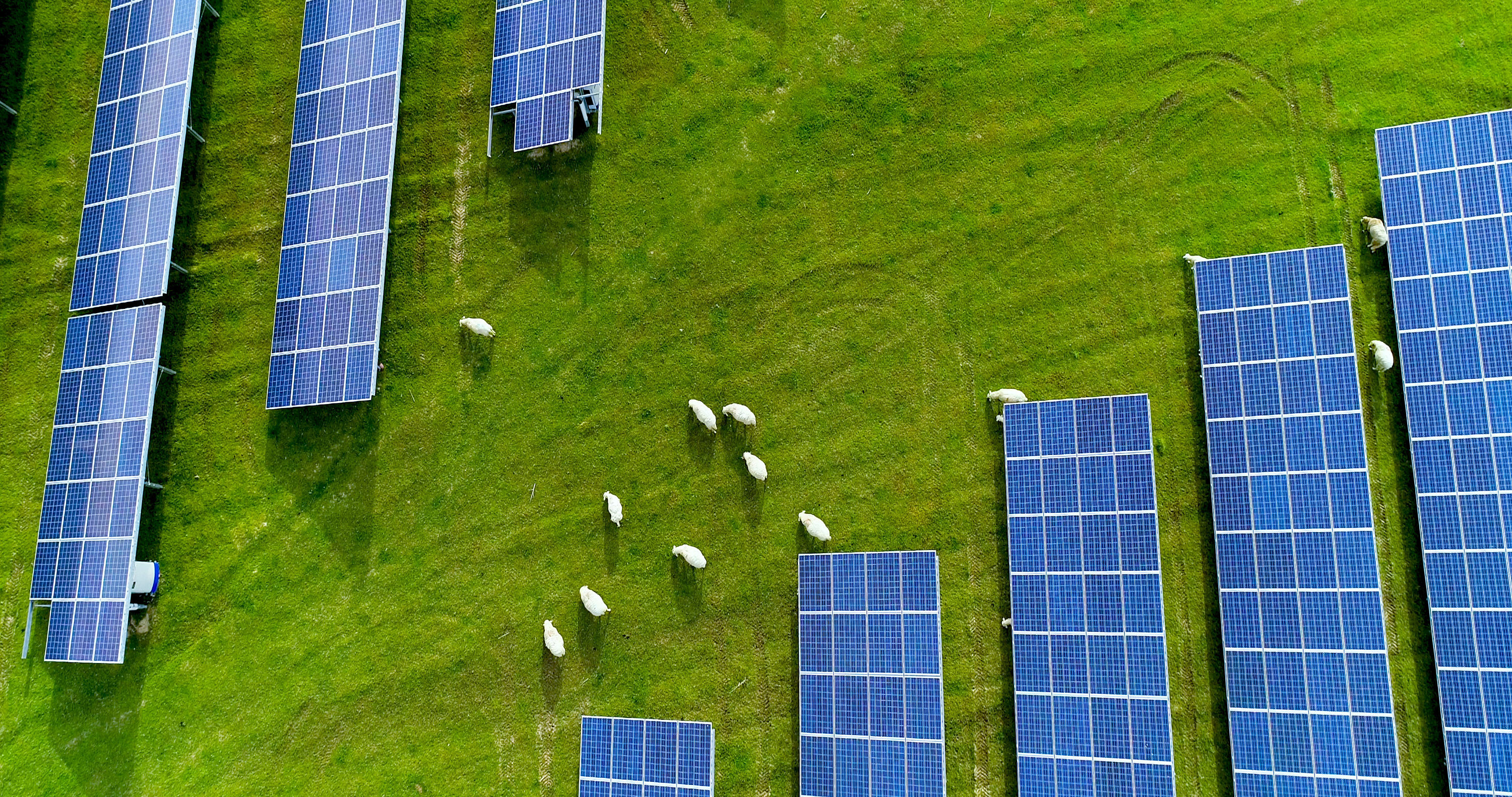 Farmland Solar Policy Design Toolkit